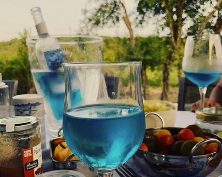 Découvrez le vin bleu - Covigneron