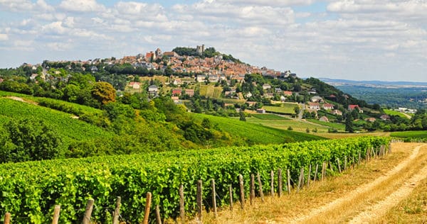 Sancerre, une AOC de notoriété mondiale - Covigneron
